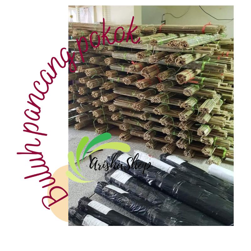 Buluh Pancang / Bamboo Stick 50cm 110cm – Pagar Pokok, BBQ Ayam, Hiasan ...