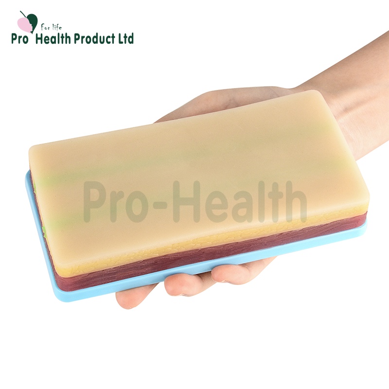 Venipuncture IV Injection Training Pad/Model for Phlebotomy Injection ...