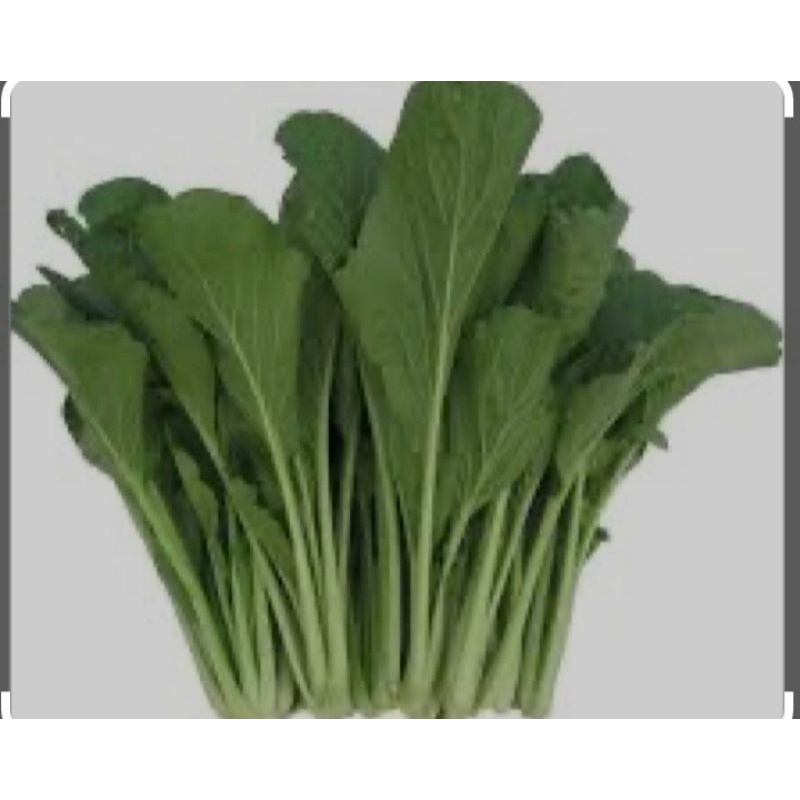 sayur sawi segar ready stok 300g | Shopee Malaysia