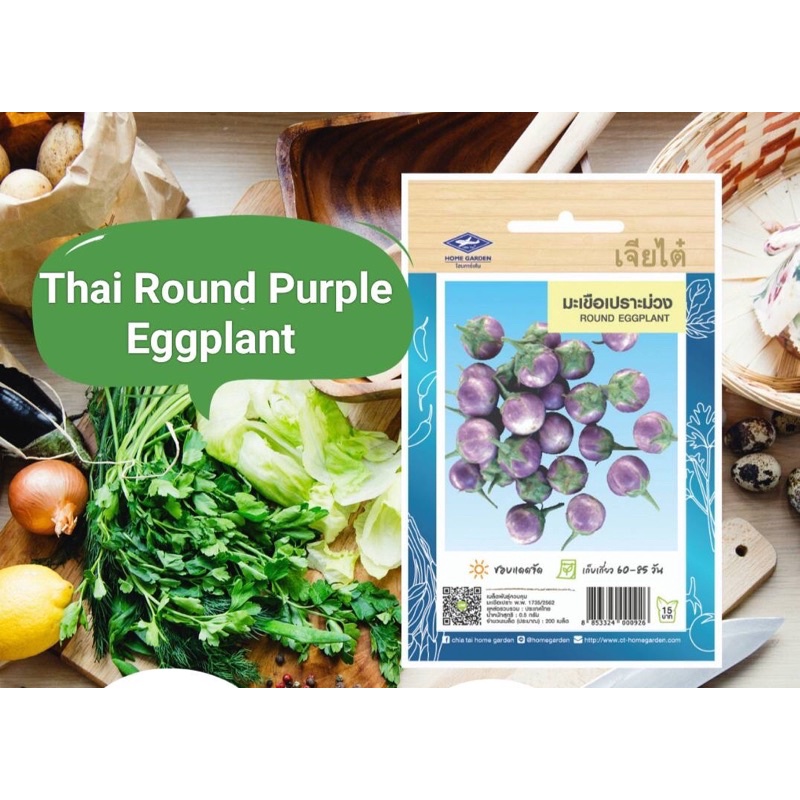 🌱Ready Stock 🌱Thai Round Purple Eggplant Seeds / Benih Terung Bulat ...