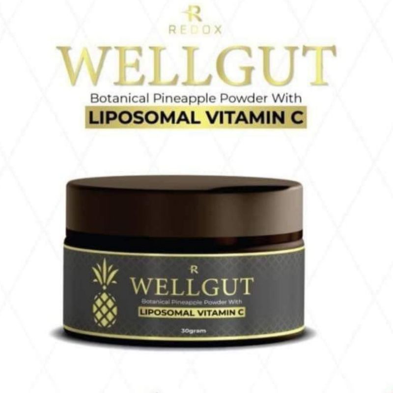 WELLGUT LIPOSOMAL VITAMIN C 30g | Shopee Malaysia