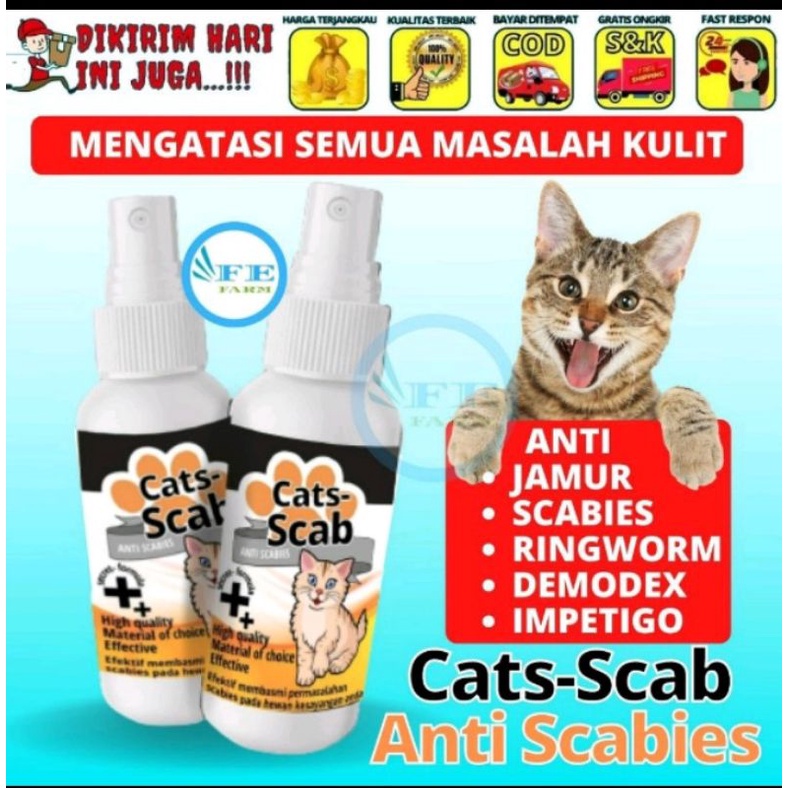 Cat Fungus medicine Scabies Demodex Impetigo Parasite Flea Fungus ...