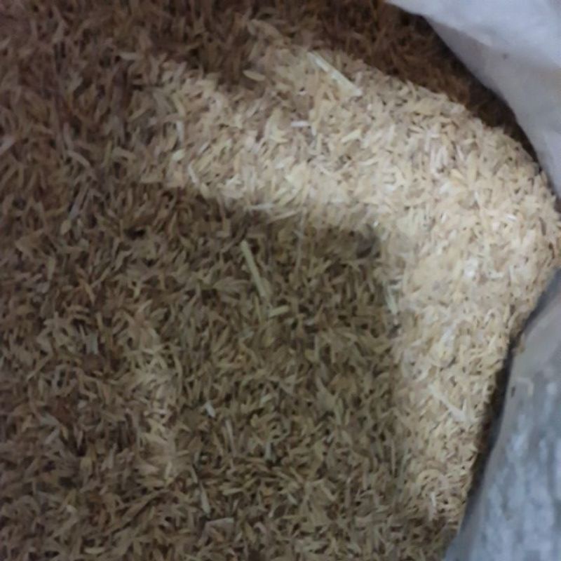 SEKAM PADI MENTAH GUNI | Shopee Malaysia