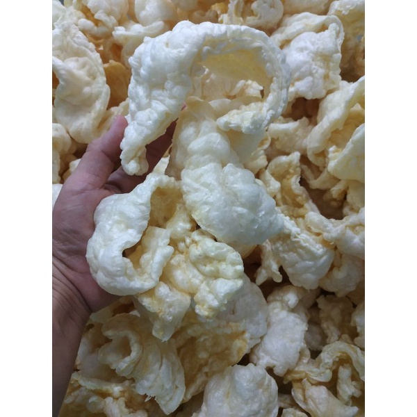 CNY 2024 炸鱼鳔 100g 桂花鱼鳔 新货 Fried Fish Maw Fresh GUI HUA 新鲜 无油腻味 | Shopee ...