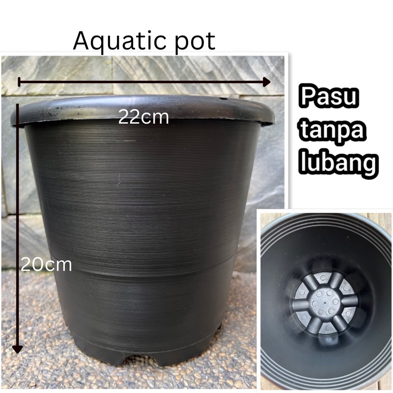 Pasu tanpa lubang Lotus Pot without hole for Aquatic plant Pond in a ...