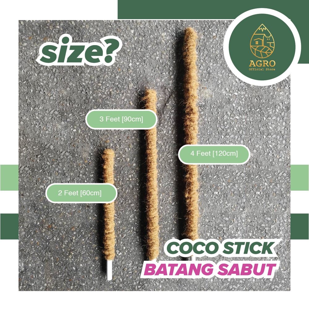Coconut Fiber Coir Totem Pole Coco Stick Coco Fiber Pole Batang Tiang ...