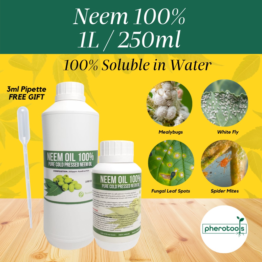 Pherotools NEEM OIL 100% (250ml / 1L) (Pure Cold Pressed Neem Oil ...