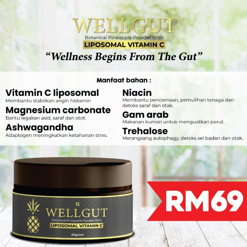Redox Wellgut Botanical Pineapple Powder (GERD, Gastrik, Ekzema, Alahan ...