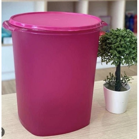 Tupperware Tall Canister (1) 8.6 / 10 / 11L | Shopee Malaysia