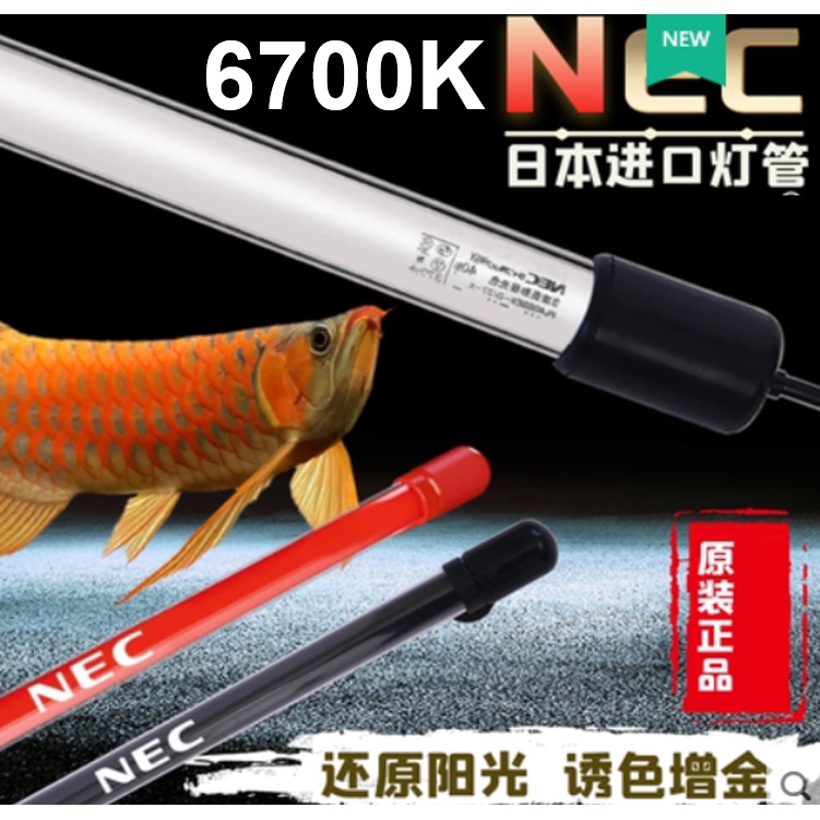 Promotion Sale 💥NEC 6700K💥Tanning Light Ready stock Nec T8 Light 100% ...