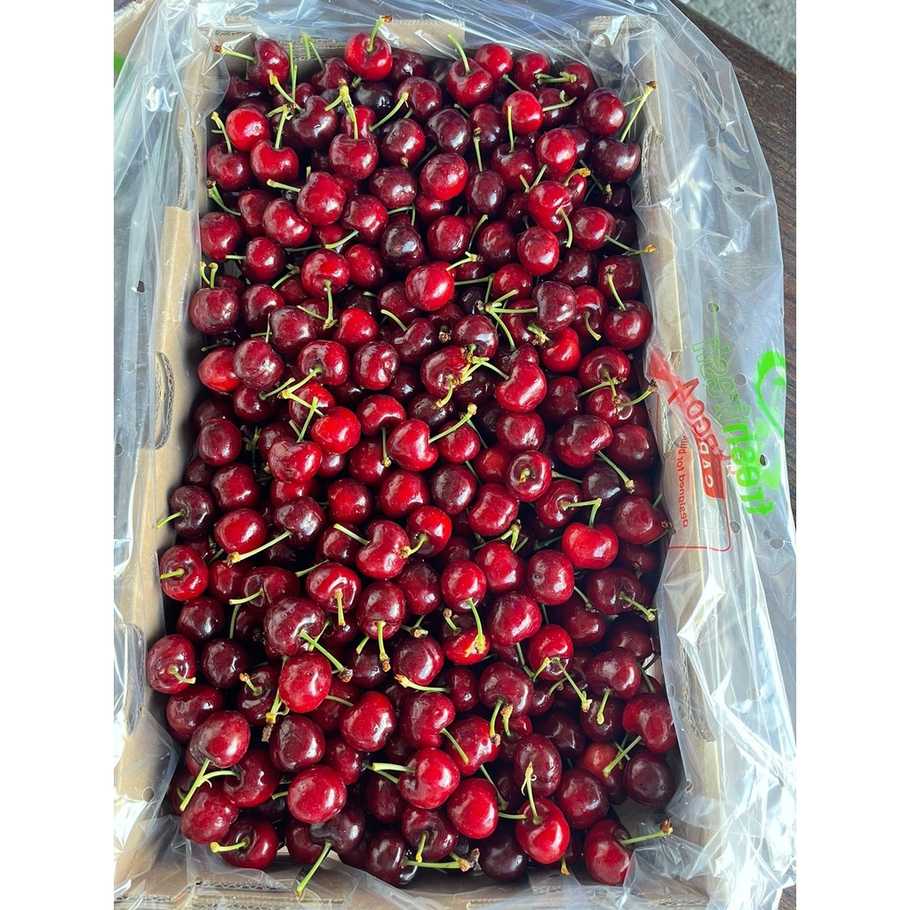 Fresh Cherry - (CURRENT SEASON: TURKEY & USA) AUS /Chile/USA/Turkey ...