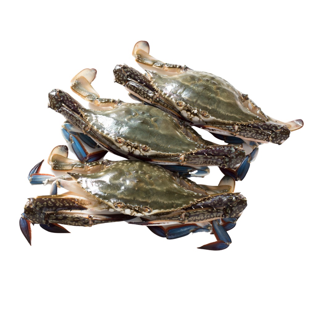 [Fresh] Ketam Bunga M/L(1kg) | Shopee Malaysia