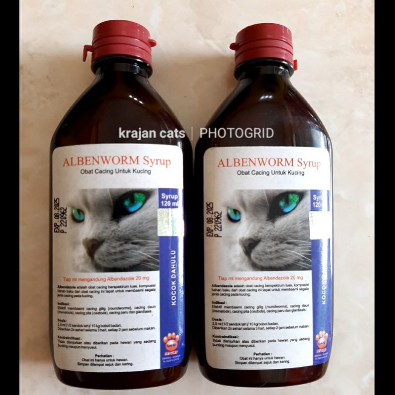 Albenworm Syrup Cat Worm Medicine 120 ml | Shopee Malaysia
