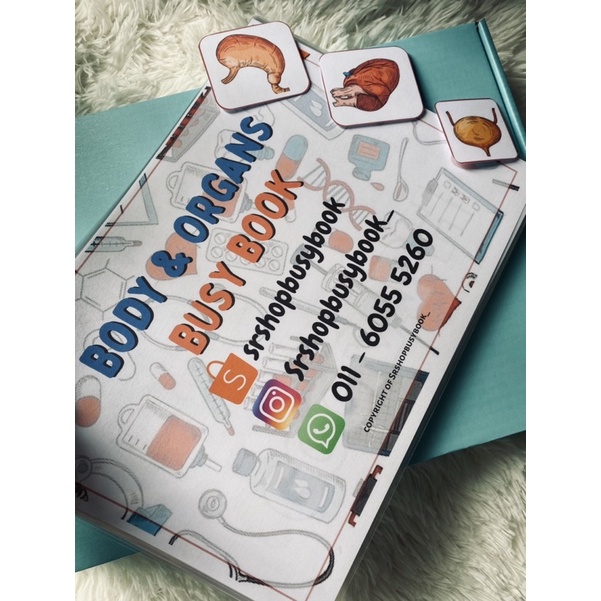 Body & Organs Busy Book | Shopee Malaysia
