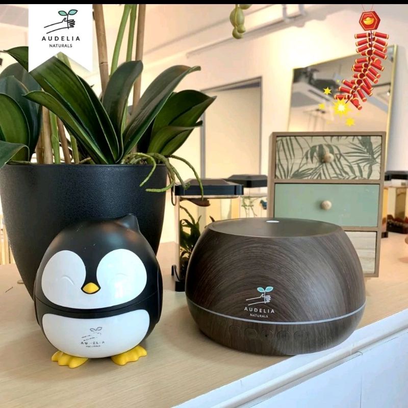 (REDUCED PRICE)Audelia Naturals Zen Aroma Diffuser + FREE 2 essential ...
