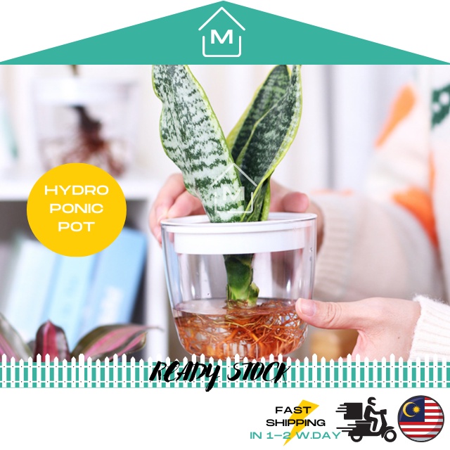 Clear Transparent Hydroponic Pot Self Watering Pot | Pasu Hidroponik ...