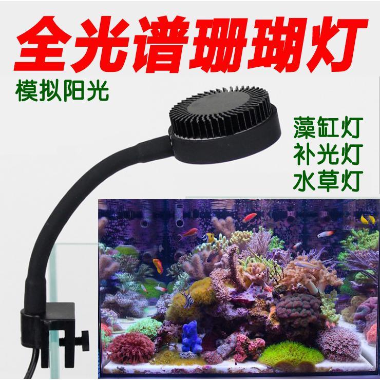 Clamping Light Super Bright For Fish Aquarium Lampu Led Untuk Akuarium ...