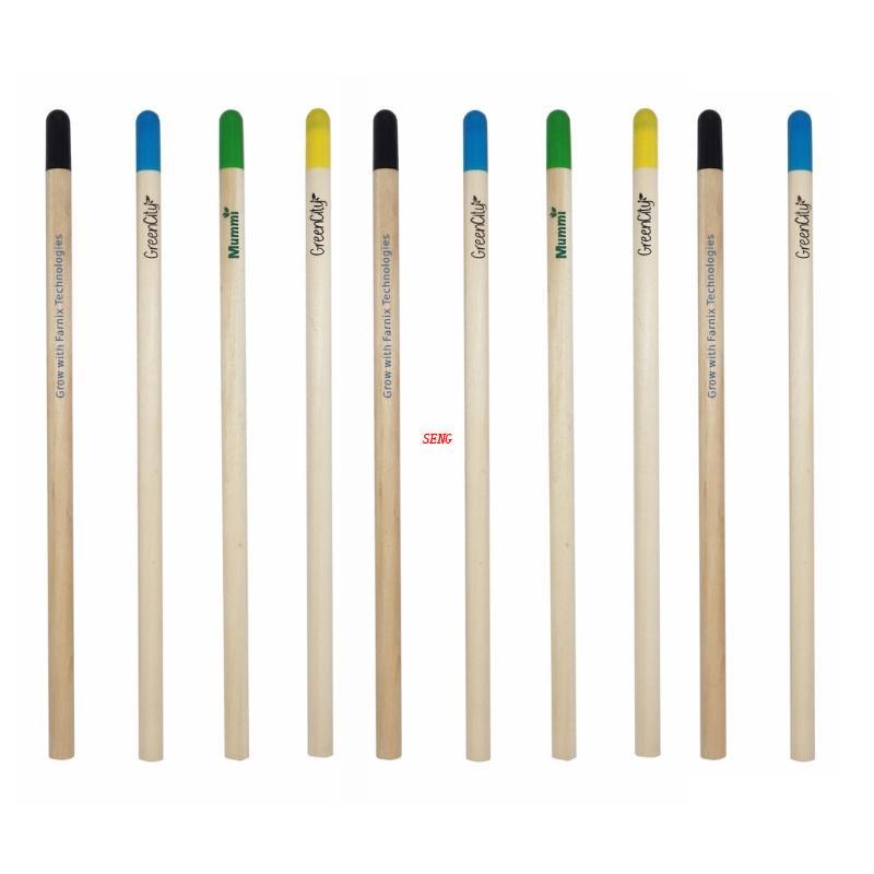 seng 10x/Set Plantable Pencils for w/ Flower for Creative To Grow ...