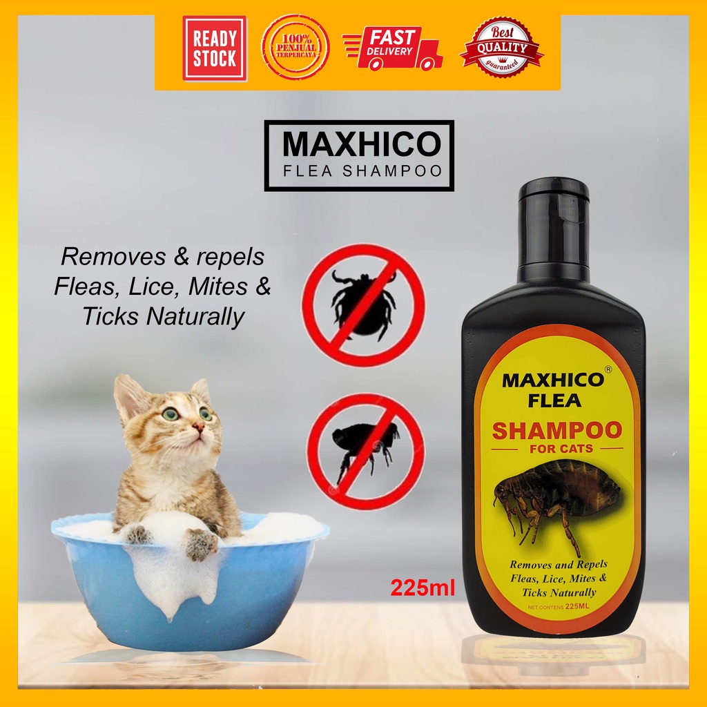 MAXHICO Flea Shampoo / Ubat Kutu Kucing / Hama Kutu Kucing / Shampoo ...