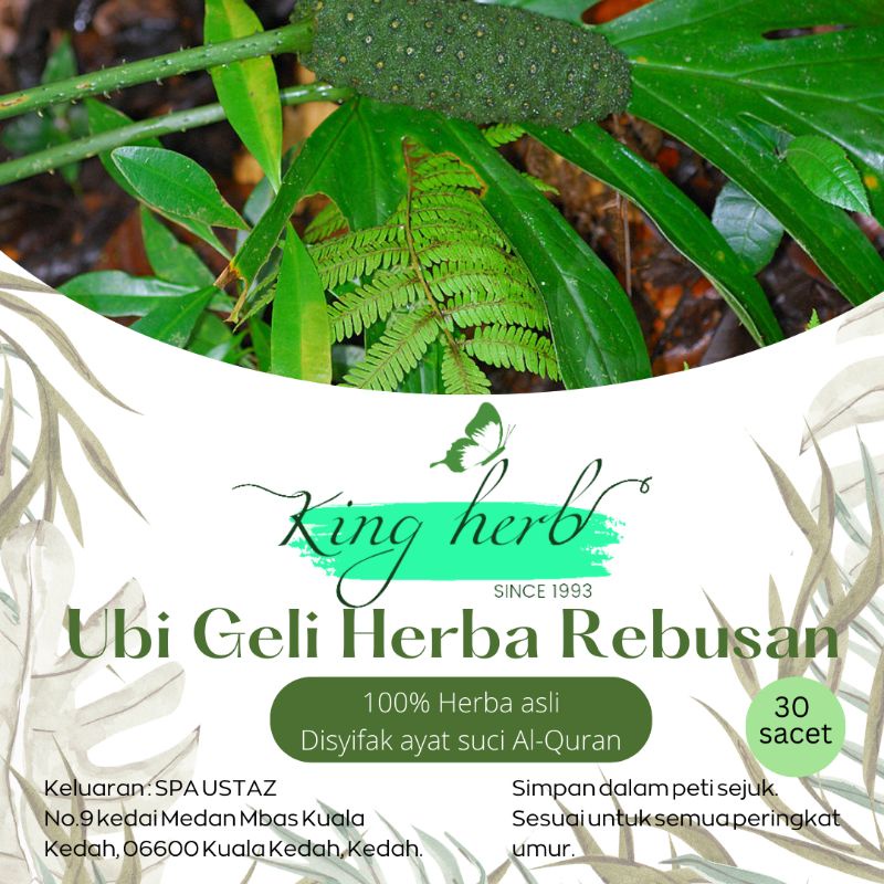 UBI GELI Herba Rebusan | Shopee Malaysia