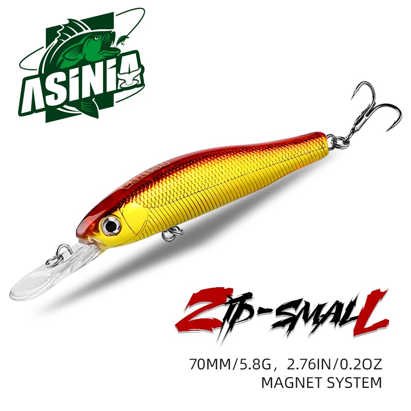 ASINIA 70mm 5.8g Dive 2m Professional Quality Magnet Weight Fishing ...