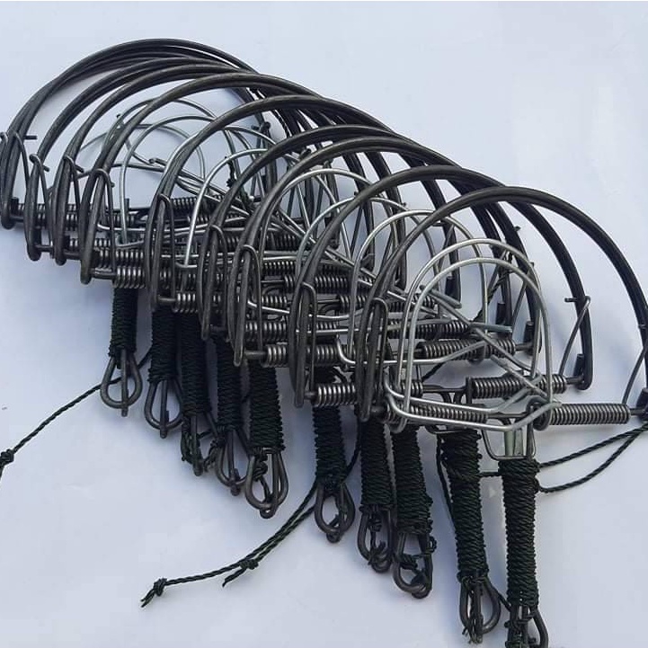 6 Inch Mousetrap Modified Underdust Trap | Shopee Malaysia