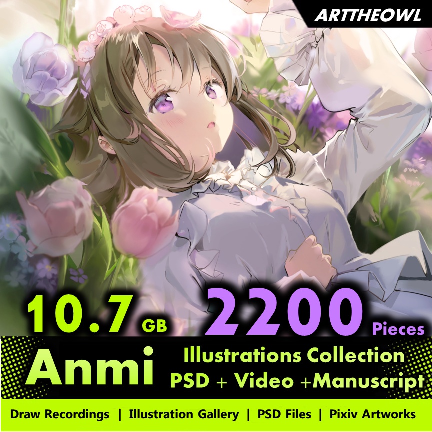 🔥 ANMI Official Illustration Collection 🔥 Anime Manga Character + CG ...