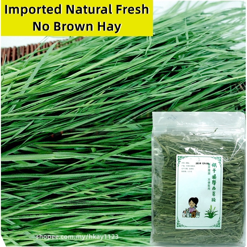 【Imported】Premium Timothy Hay 500g Fresh And No Brown Hay No Spike ...