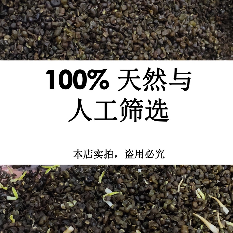 Purely natural bean sprout shell 100g/200g per unit纯天然豆芽壳Kulit Kacang ...