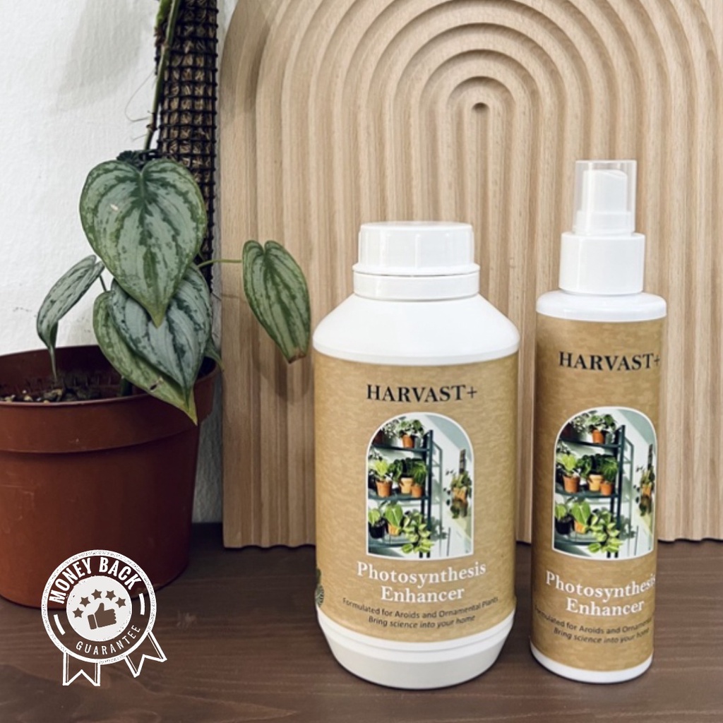 Harvast Photosynthesis Enhancer | Shopee Malaysia
