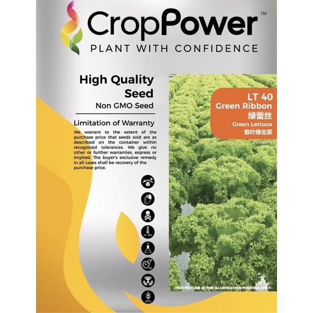 🎊Ready Stock🎉 Benih Sayur Salad /Lettuce Seed / 生菜种子 – CROP POWER (LT40 ...