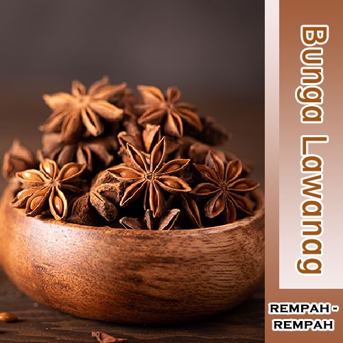 Dried Lawang Flower Pekak Star Anise 100 Grams 1 /10 kg | Shopee Malaysia