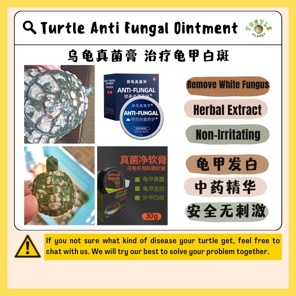 Anti-Fungal Ointment for Turtles ubat kura kura fungus 乌龟真菌膏 | Shopee ...