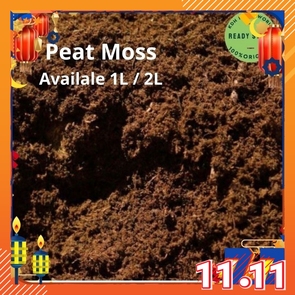 KDH Plant World KEKKILA 1L (+/-) / 2L (+/-) Peat Moss Seedling ...