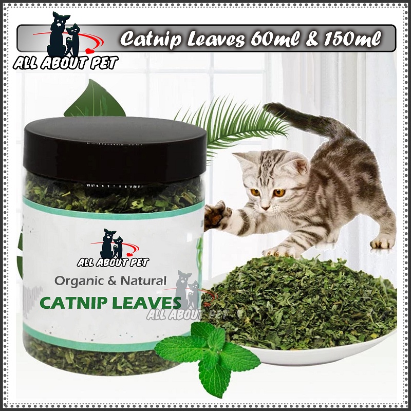 60ML Catnip Powder Test Tube Catmint Catwort Catswort Pokok Galak ...