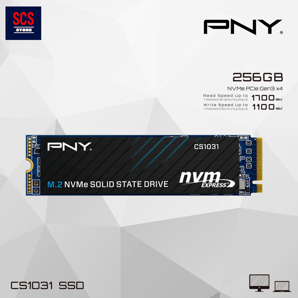 PNY CS1031 256GB / 500GB / 1TB M.2 2280 NVMe Gen3x4 SSD | Shopee Malaysia