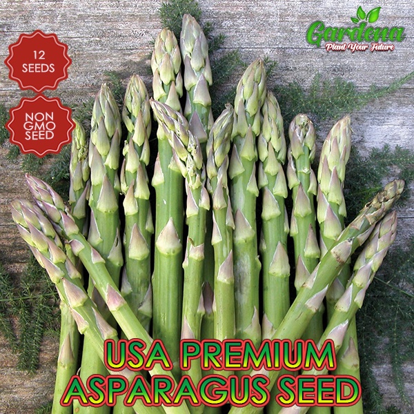 50 BIJI BENIH(1 GRAM) ASPARAGUS USA PREMIUM COATED SEED PREMIUM GRADE ...