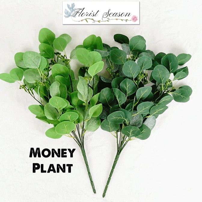 Artificial Money Leaf / WHOLESALE Rm7.40 ! Daun Silver Dollar / Apple ...