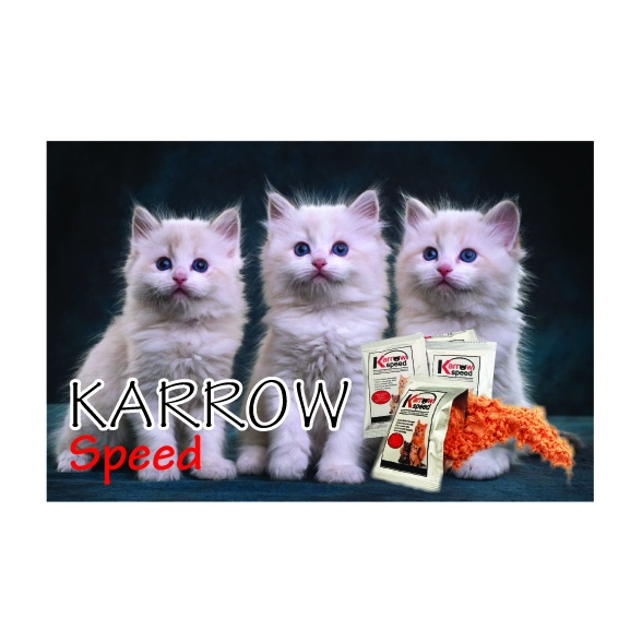 KARROW SPEED 25G SACHET/ PAPAN | Shopee Malaysia