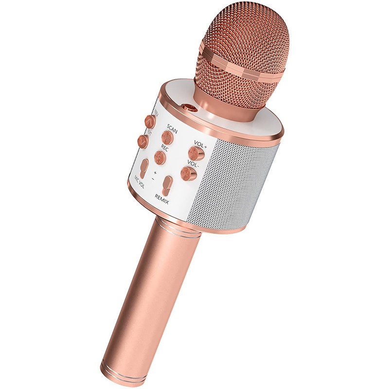 Bluetooth Handheld Microphone Portable Wireless Karaoke Mic Hifi KTV ...