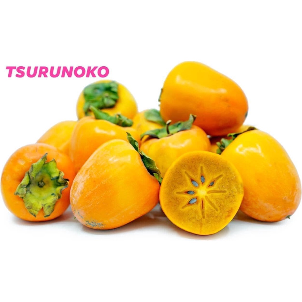 Anak Pokok Persimmon/Pisang Kaki Pelbagai Jenis (6 Jenis) | Shopee Malaysia