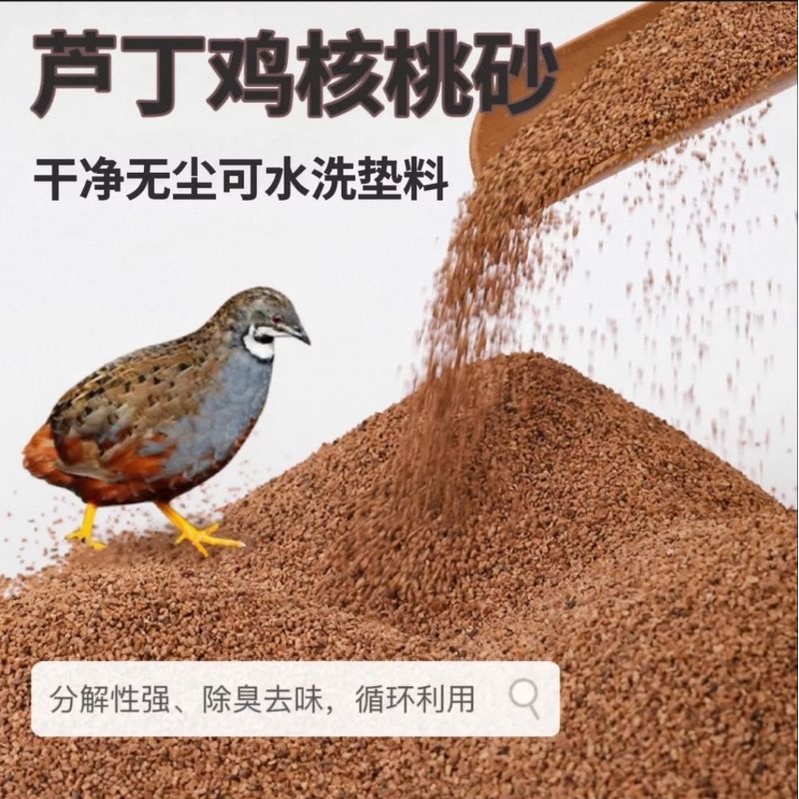 🔥Ready Stock🔥Quail rutin walnut shell bedding 2kg | Shopee Malaysia
