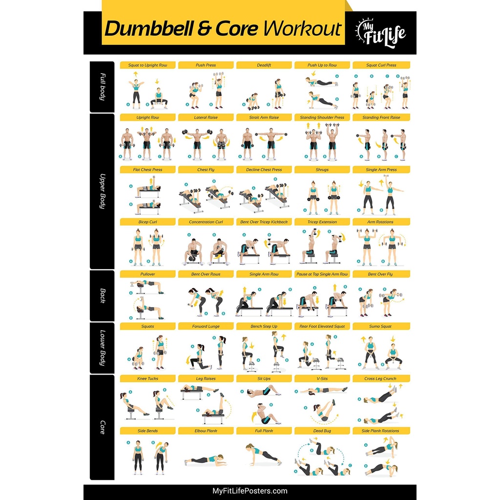 Gym Dumbbell and Core Workout Poster Guide with 40 Exer Gym workouts ...