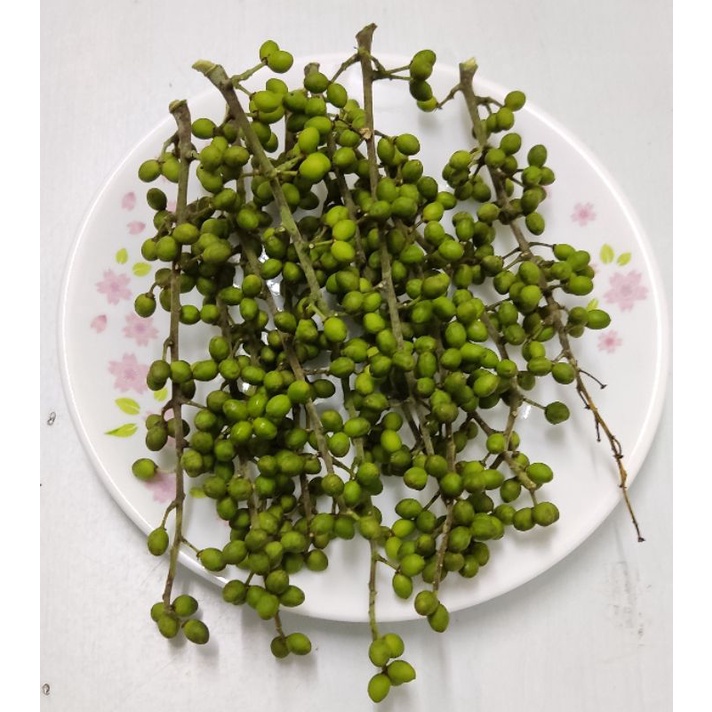 Anak Pokok Melada Pahit @ Bisul (polibag) | Shopee Malaysia