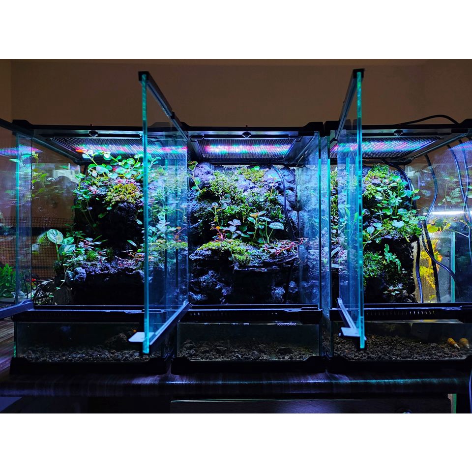 Paludarium tank ,Terrarium tank, Reptile tank 30cm length x 25cm width ...
