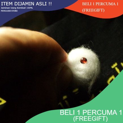 P•S🔥Geliga Semut Merah (JenisKecil) | Shopee Malaysia