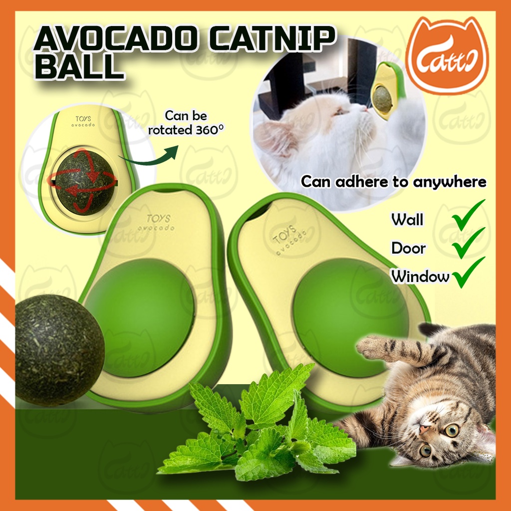 CATTO Rotatable Avocado Design Cats Grass Mint Catnip Balls Snacks Treats Rotating Pets Fun Toys ...