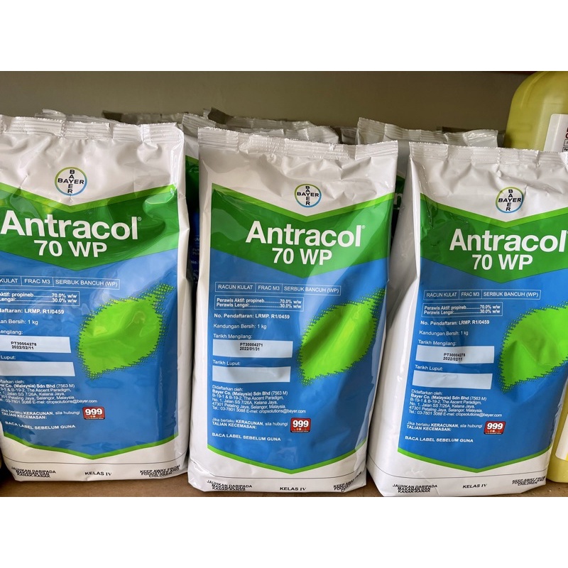 Antracol 70WP 1KG BAYER 预防细菌感染/烧叶病 | Shopee Malaysia