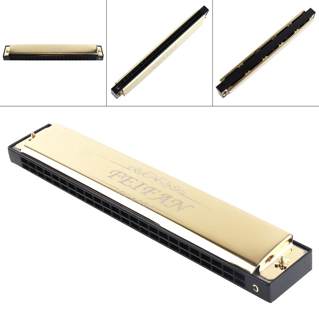 24 Holes 8K Titanium Harmonica Tremolo Tone KeyC Harp Mouth Organ ...