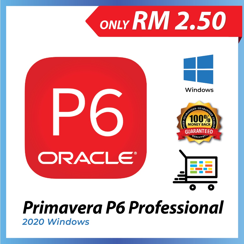 Primavera P6 Professional V. 19 ( Latest Project Management Software ...